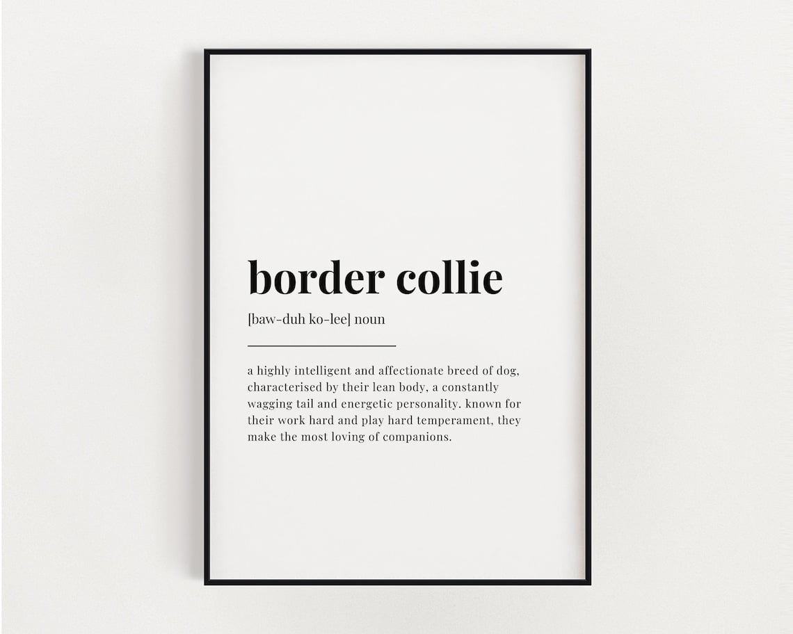 Border Collie Definition Meaning, Wall Art, Border Collie Print, Print ...