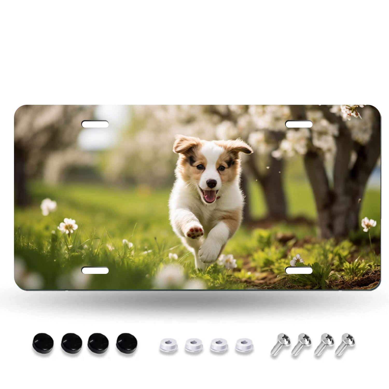 Border Collie Dog drawing Plate Cover, Decorative Aluminum Novelty ...