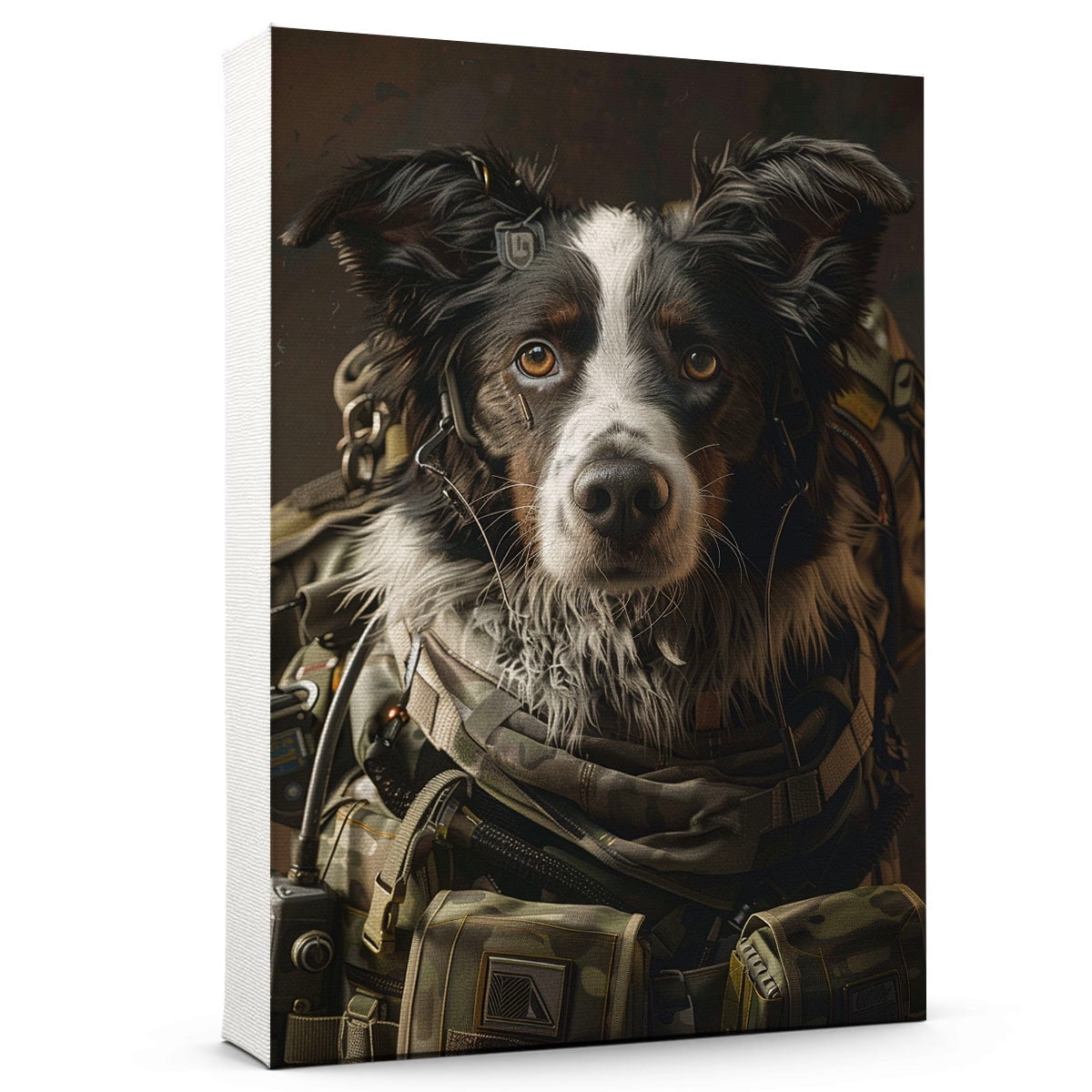 Border Collie Dog in a Costume Poster Unframe, Border Collie Dog Canvas ...