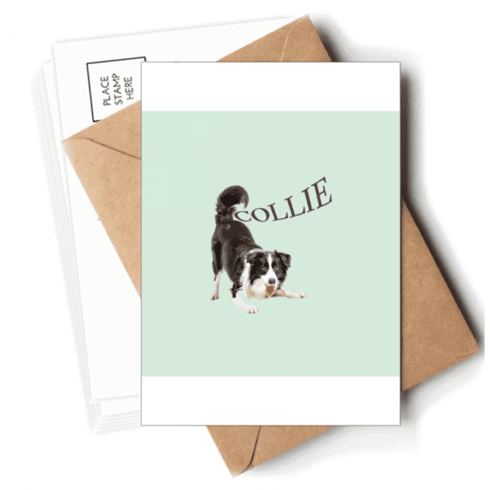 Border Collie Farm Pet Art Deco Fashion Postcards Envelopes Blank Note ...