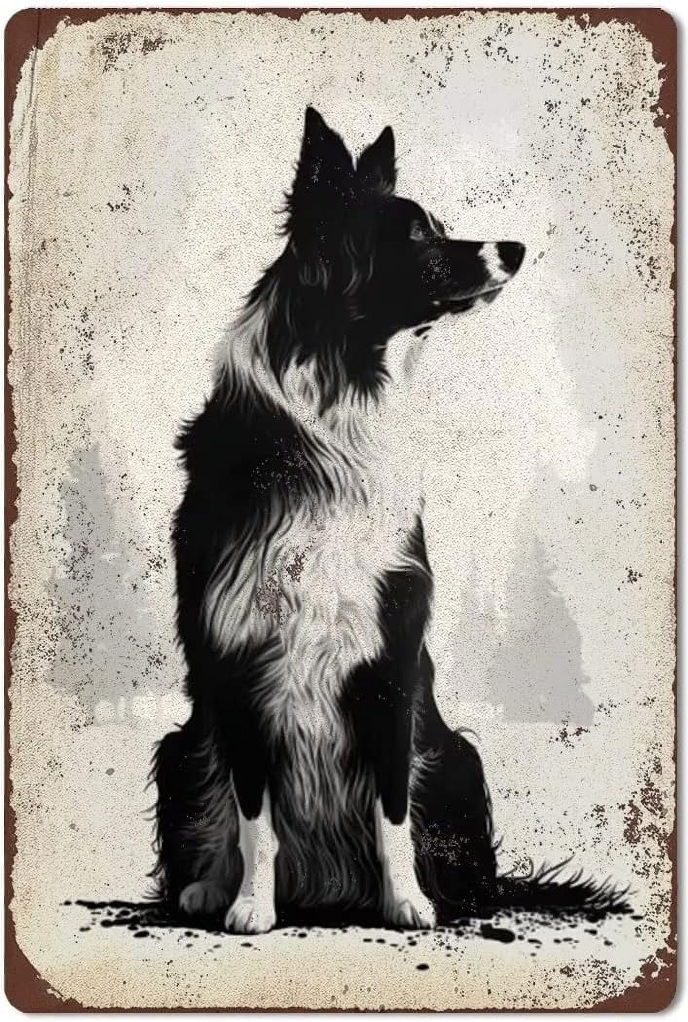 Border Collie Portrait Diamond Art Kits for Adults- 5D Diamond Painting ...