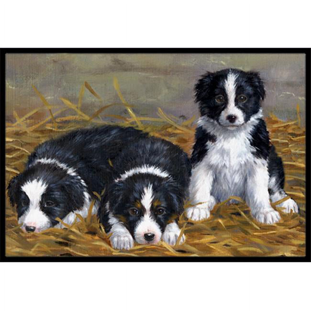 Border Collie Puppies Indoor or Outdoor Mat, 18 x 27 - Walmart.com