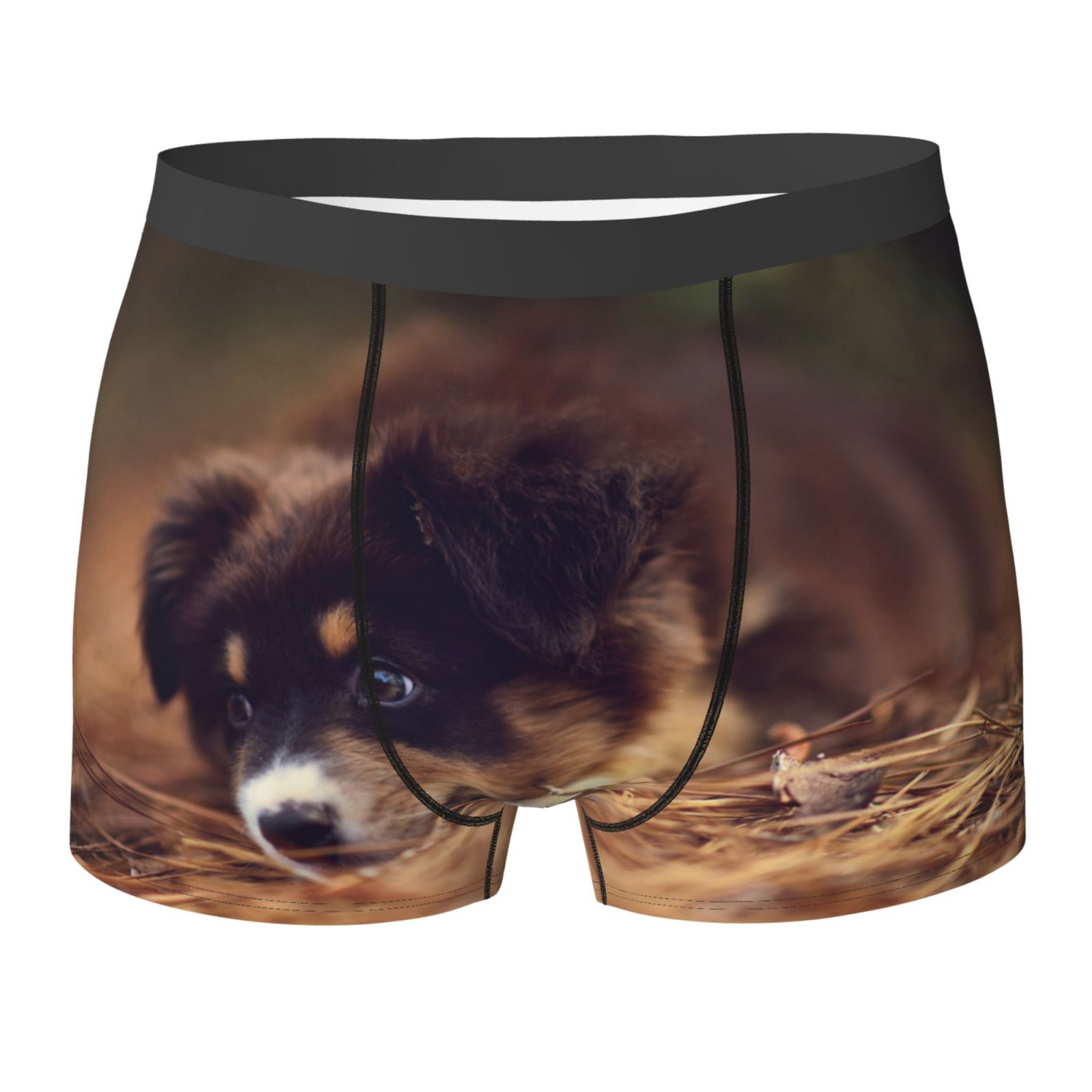 Border Collie Puppy Bokeh Brown Border Collie Underwear For Men,Soft ...