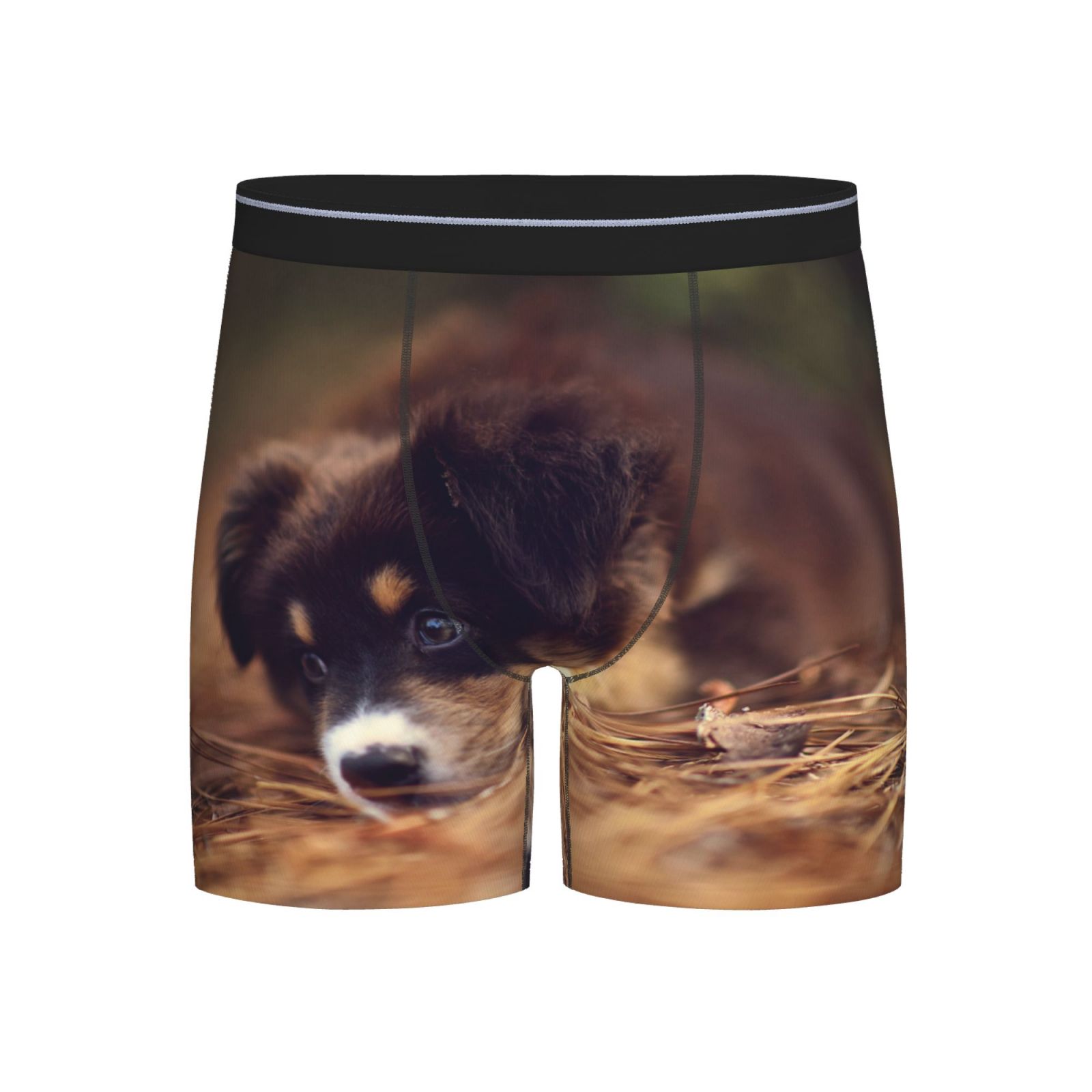 Border Collie Puppy Bokeh Brown Border Collie Underwear For Men,Soft ...