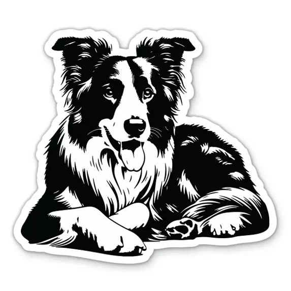 Border Collie Sticker Phone Decal Water Bottle Stickers Car Decals ...