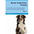 Border Collie Tricks Training Border Collie Tricks & Games Training ...