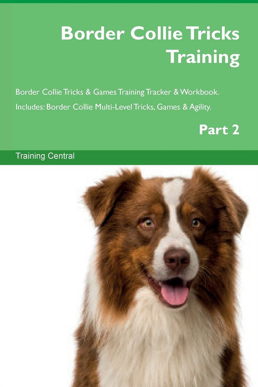 Border Collie Tricks Training Border Collie Tricks & Games Training ...