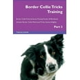 Border Collie Tricks Training Border Collie Tricks & Games Training ...