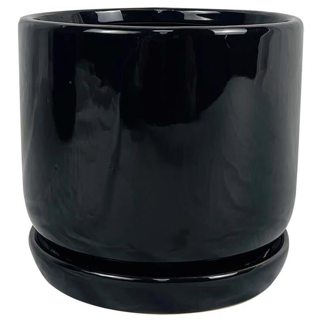 Border Concepts 7037870 6 in. Ceramic Cover Pot, Black - Pack of 6 ...