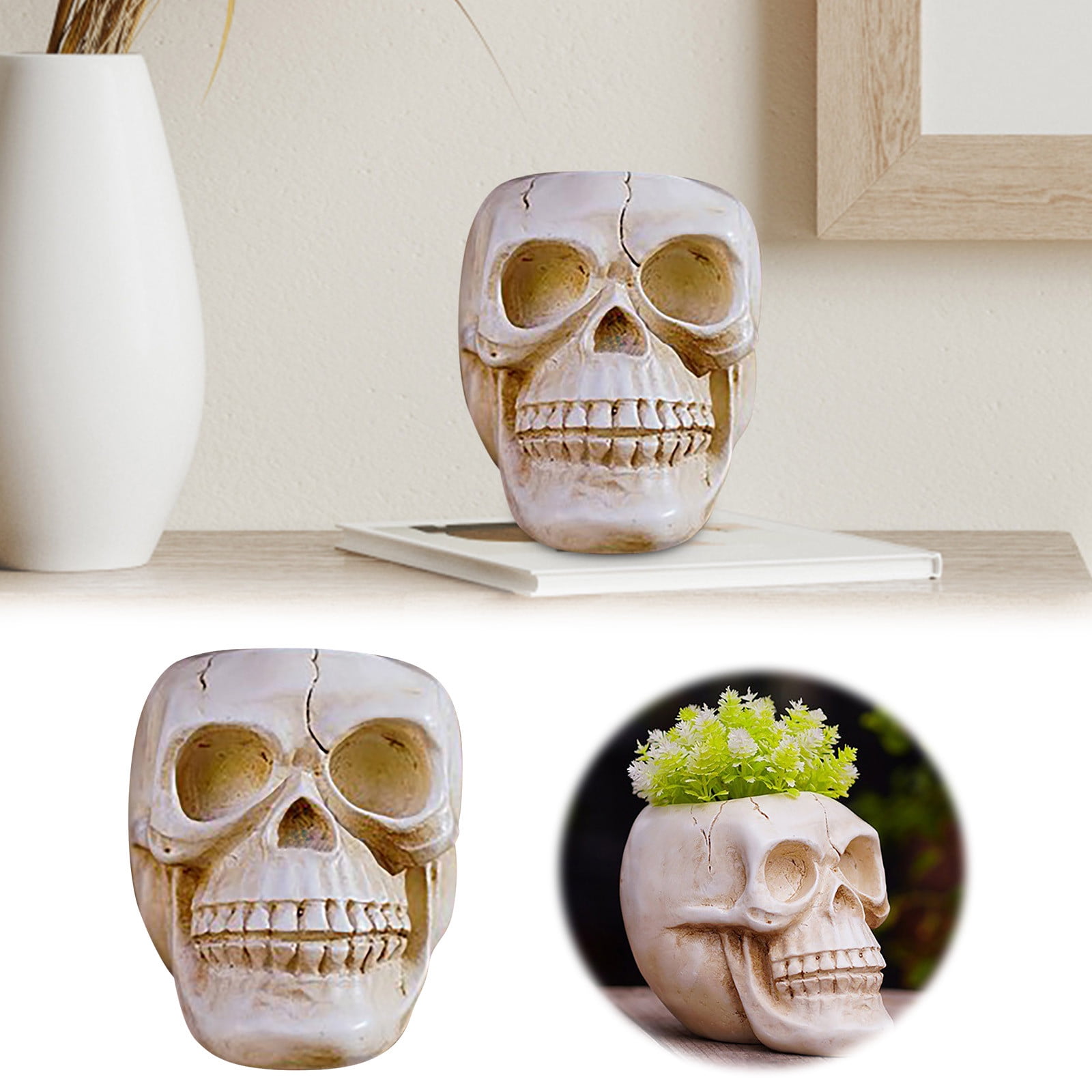 Border Fruit Plate Pumpkin Fruit Plate Glowing Sound Hand Scene Dress ...