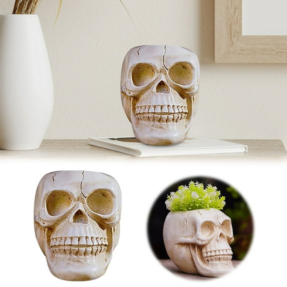 Border Fruit Plate Pumpkin Fruit Plate Glowing Sound Hand Scene Dress ...