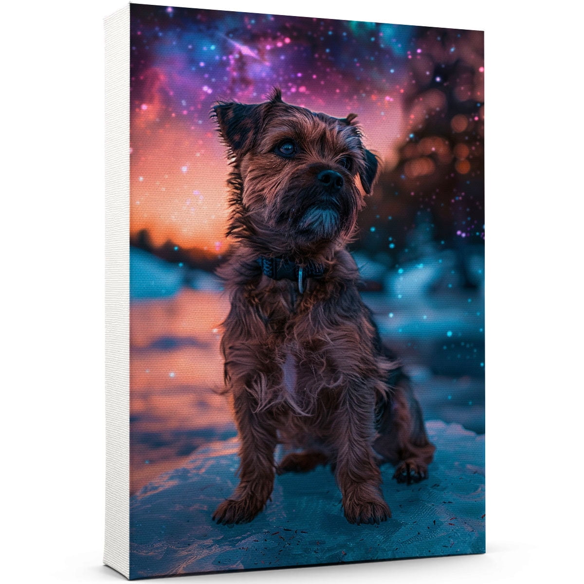 Border Terrier Dog Lying in The Snow Canvas Print Wall Art Famous ...