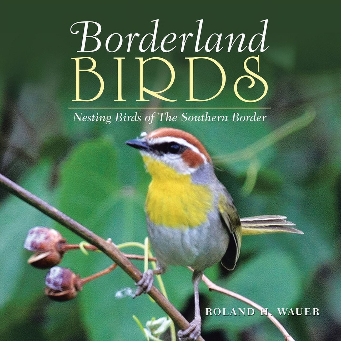 Borderland Birds: Nesting Birds of the Southern Border (Paperback ...
