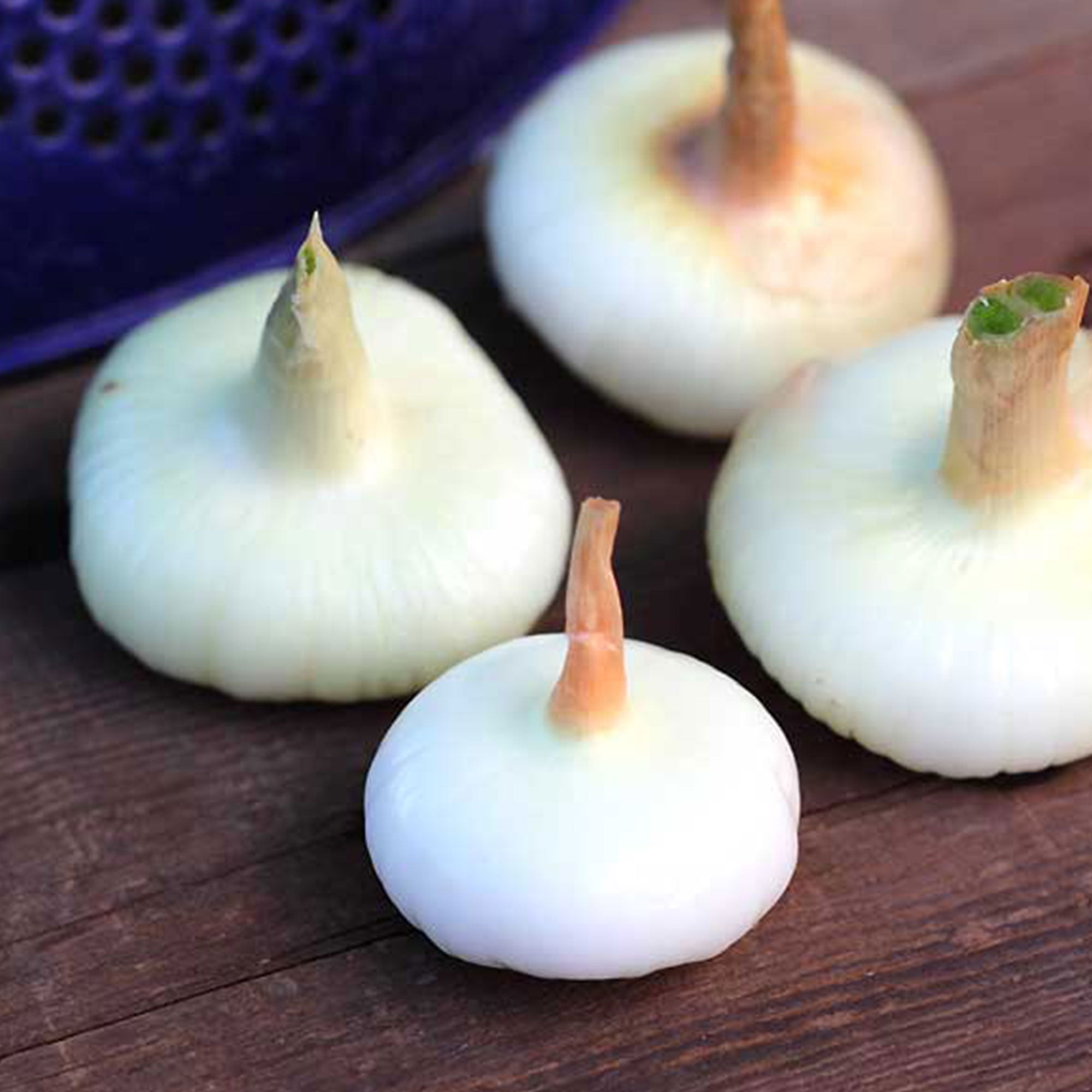 Borettana Yellow Cipollini Onion Seeds - 1 g ~300 Seeds - Non-GMO ...