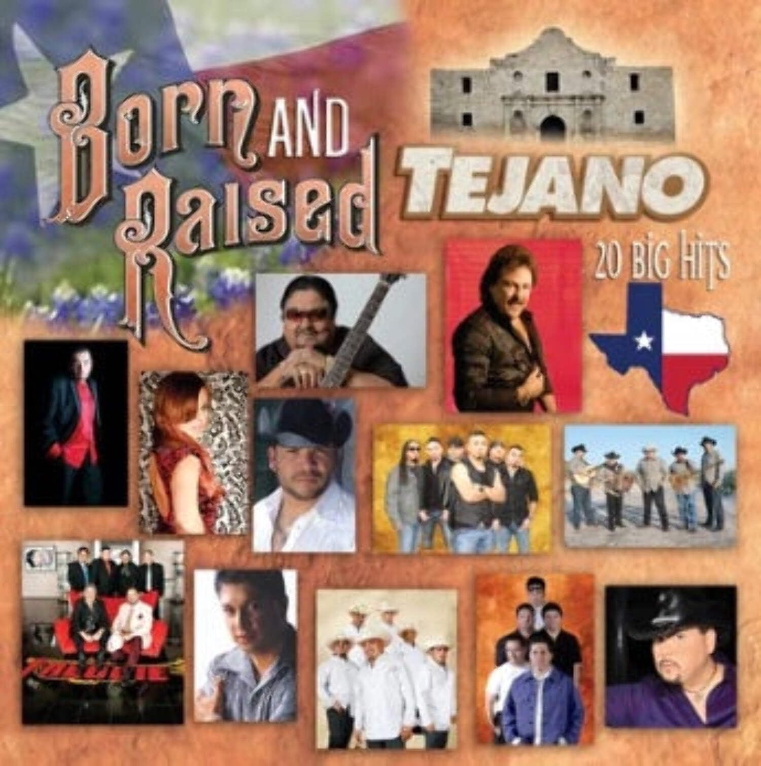 Born And Raised Tejano 20 Big Hits - Various Artists (CD) - Walmart.com