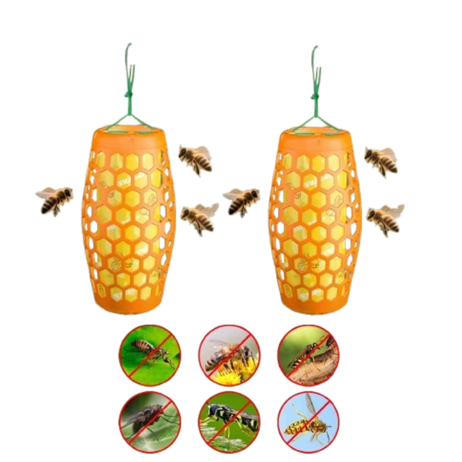 Born Pettry 2 Pcs Wasp Traps Bee Baits,Carpenter Bee and Hornet Catcher ...