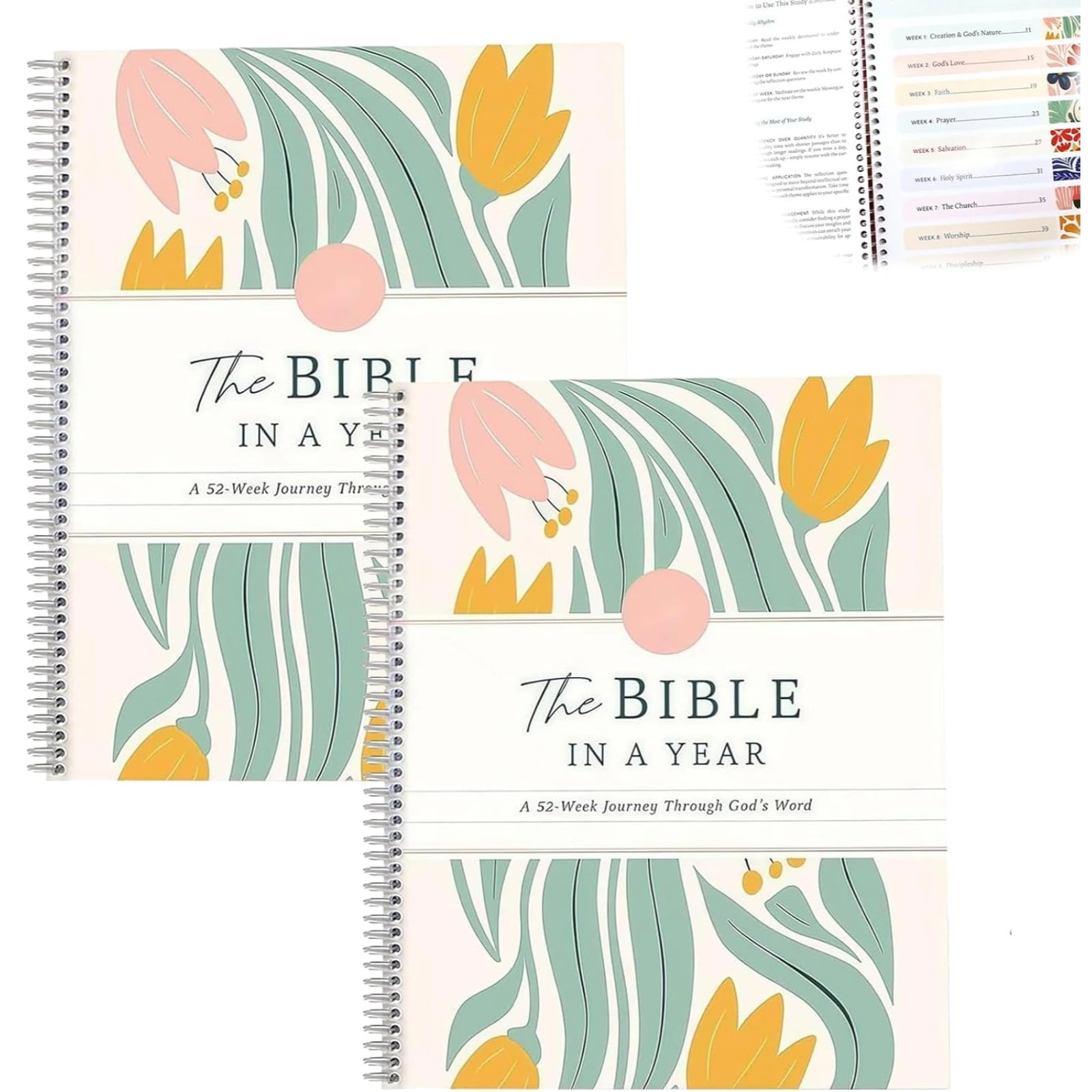 Born Pettry The Bible In A Year: A 52-Week Study, The 52-Week Bible ...