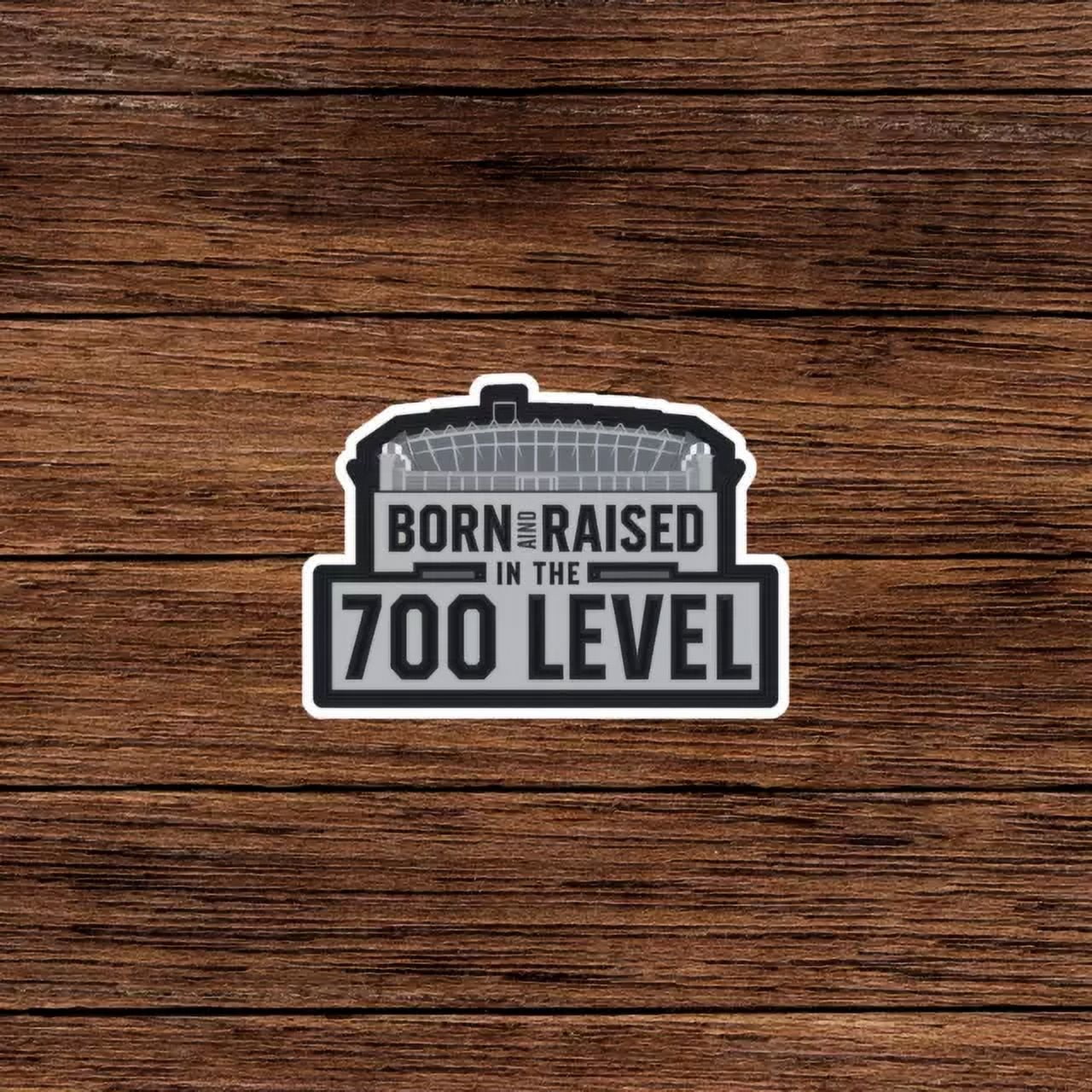 Born And Raised In The 700 Level - Philadelphia Football Stadium ...