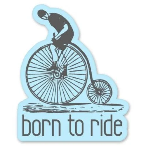 Born To Ride Retro Bicycle Car Sticker Phone Decal Water Bottle ...