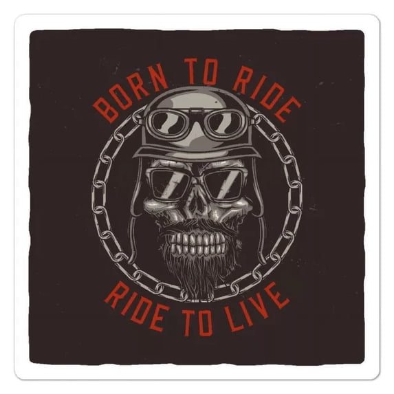 Born To Ride Skull Sticker Indoor Outdoor Phone Decal Water Bottle ...