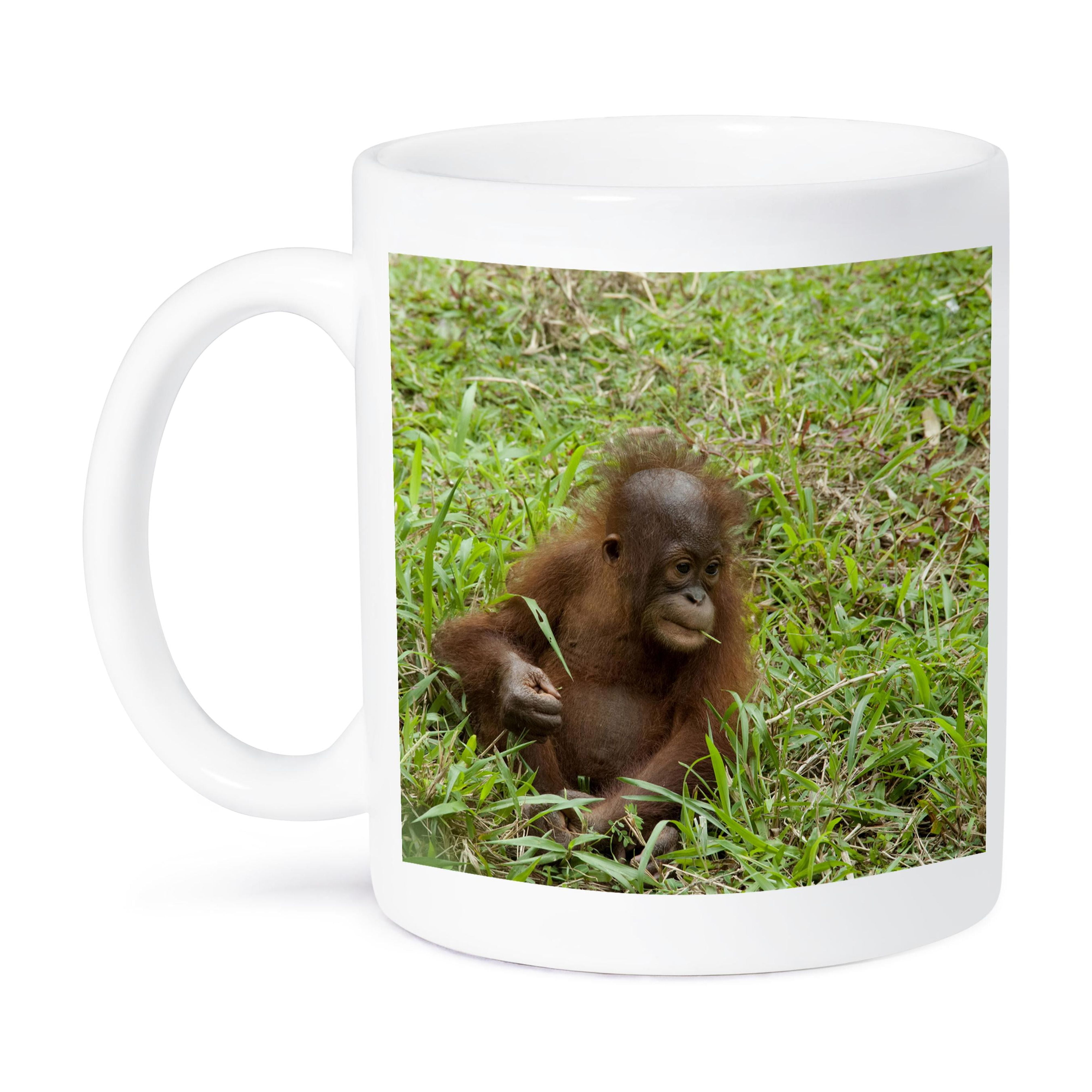 3dRose, Bornean Orangutan primate, Borneo, Malaysia - AS23 CMI0177 ...