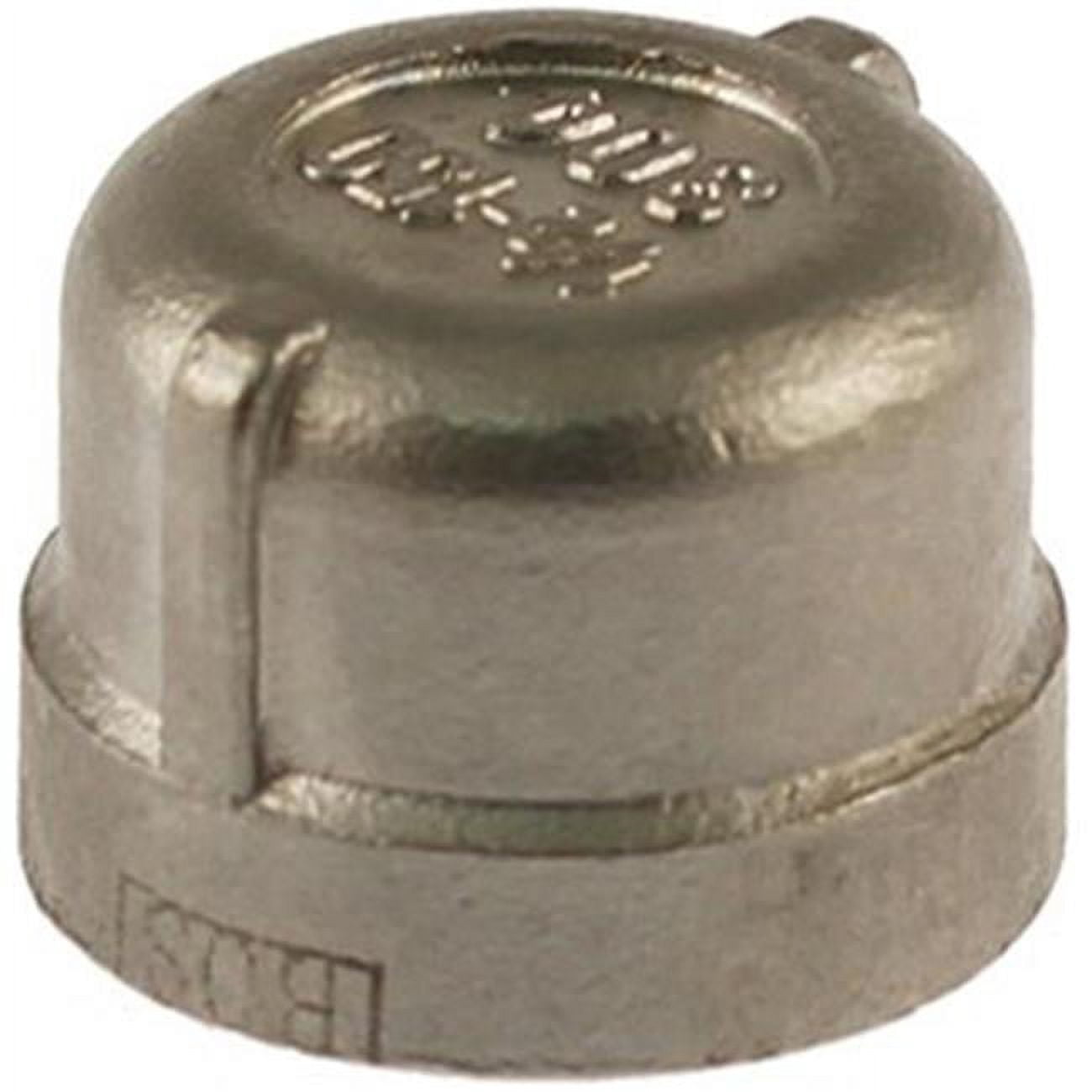 Boshart Industries 0.75 in. 304 Stainless Steel Cap - Walmart.com