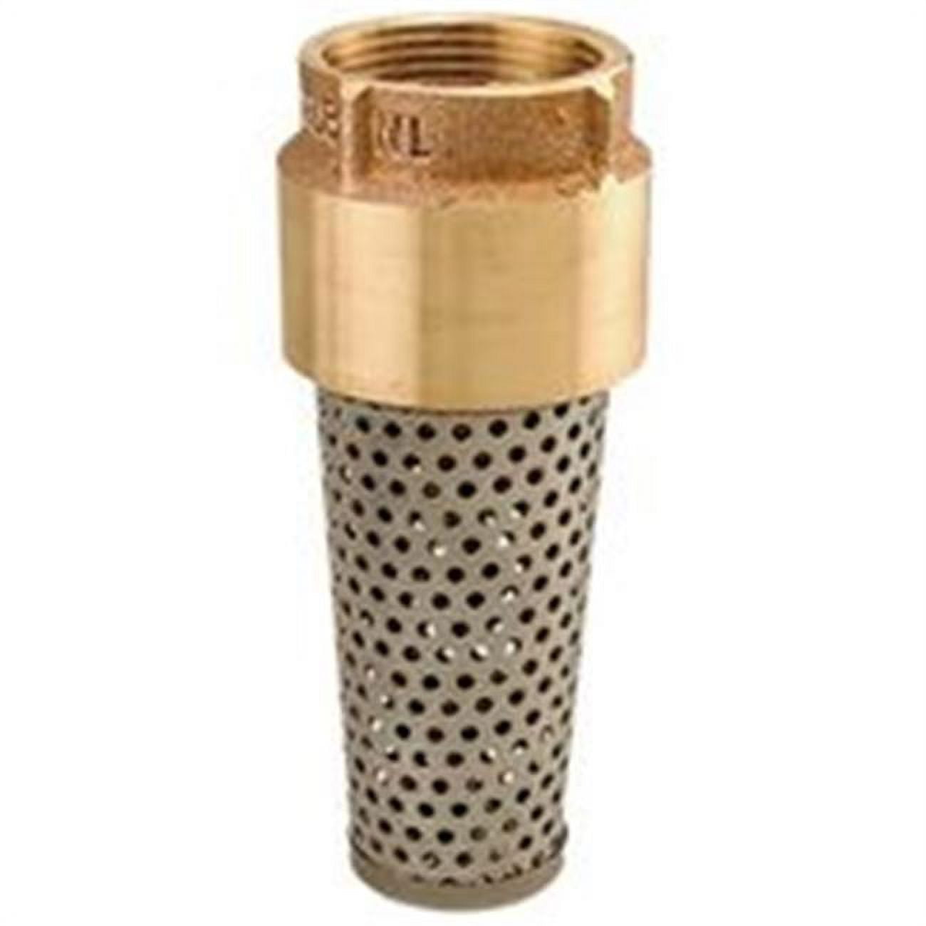 Boshart Industries 0280685 1 in. Foot Valve, Stainless Steel & Lead ...