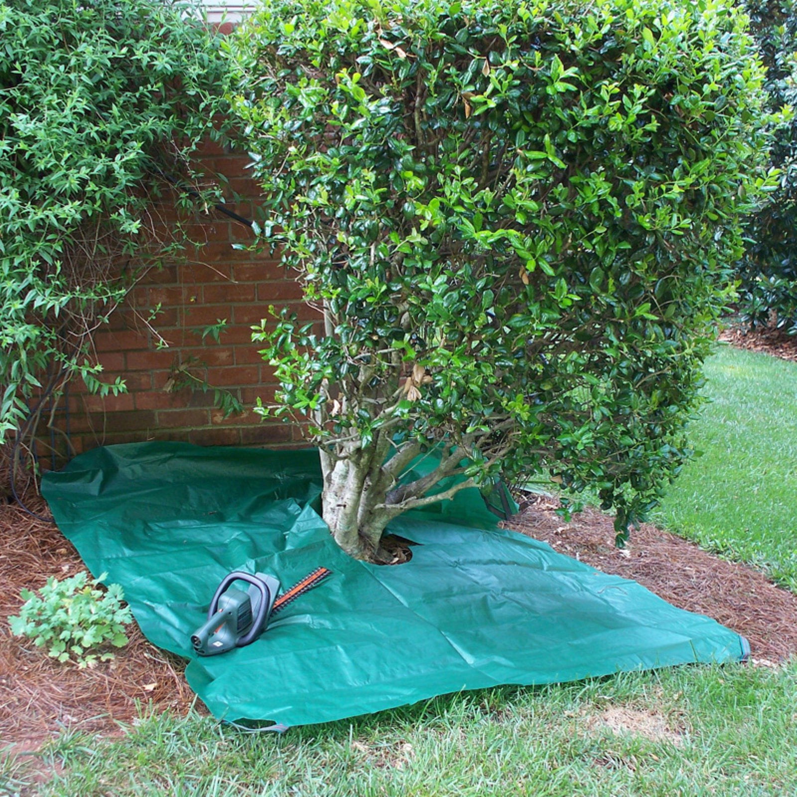 Bosmere 84 in. x 84 in. Pruning Drop Cloth with Handles - Walmart.com