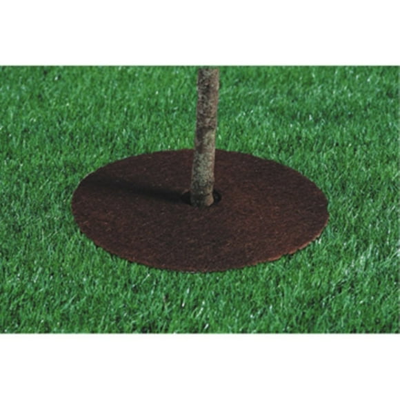 Tree Rings Landscaping