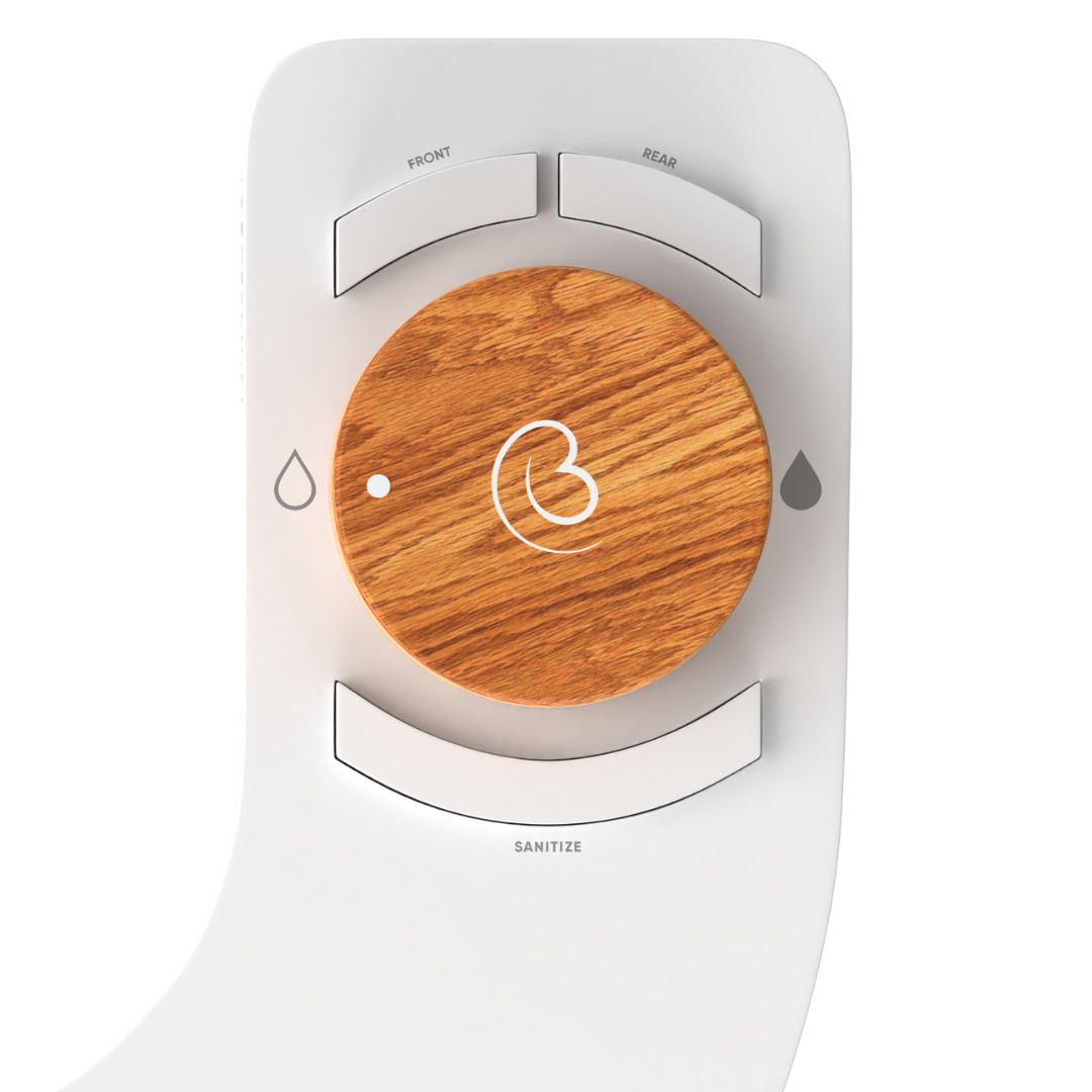 Boss Bidet Revolution - Cool Water Bidet Attachment Push Button Start ...