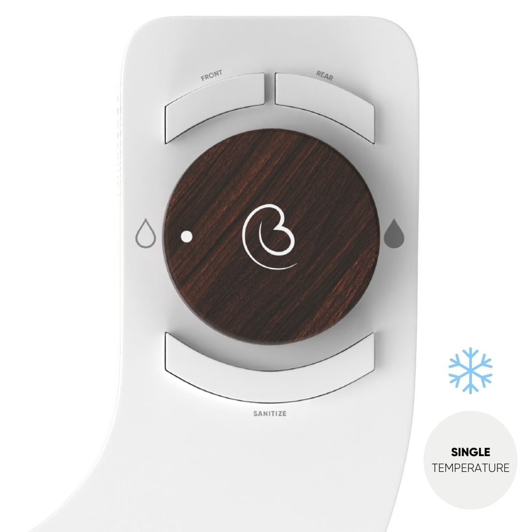 Boss Bidet Revolution - Cool Water Bidet Attachment Push Button Start ...