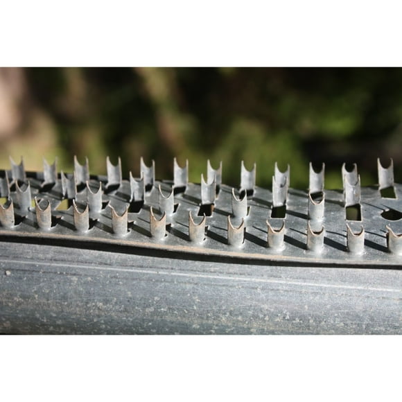 Deer and Game Feeders - Walmart.com