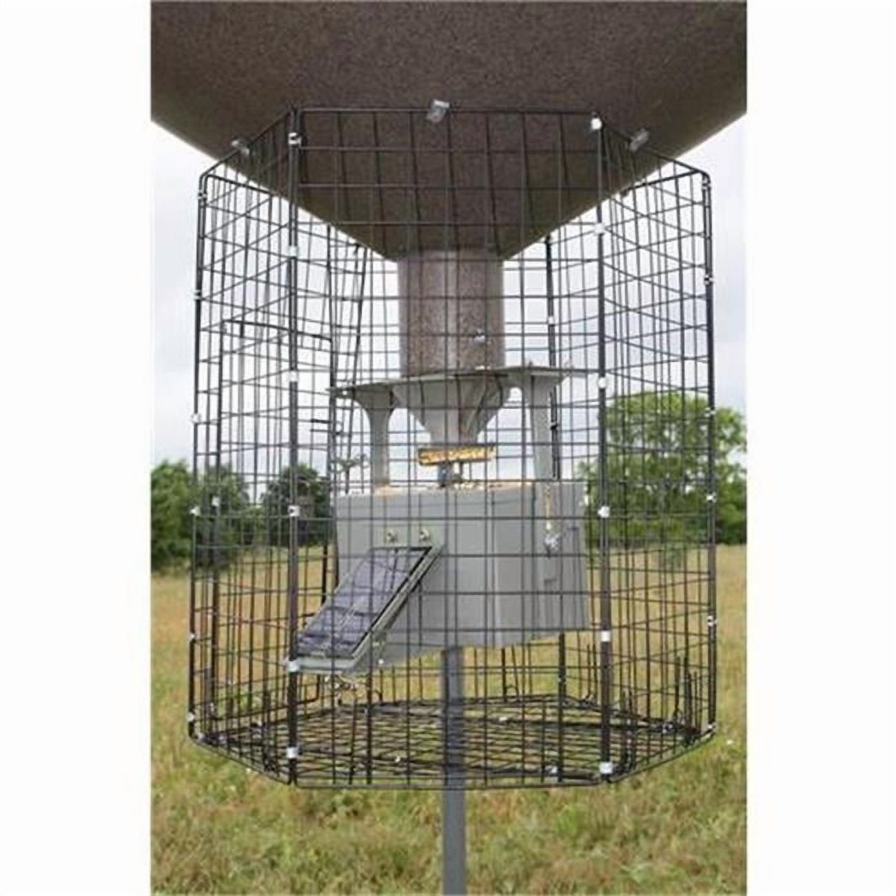 Boss Buck Varmint Cage Deluxe Round - Large - Black - Walmart.com