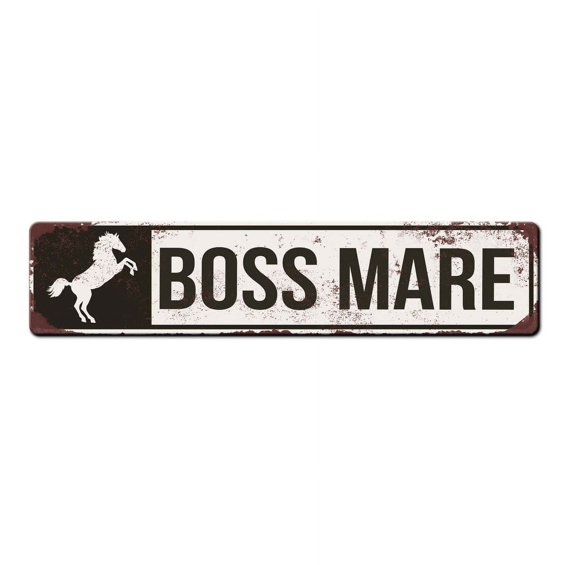 Boss Mare Funny Equine Outdoor Safe Metal Sign Horse Trainer Sign Funny ...