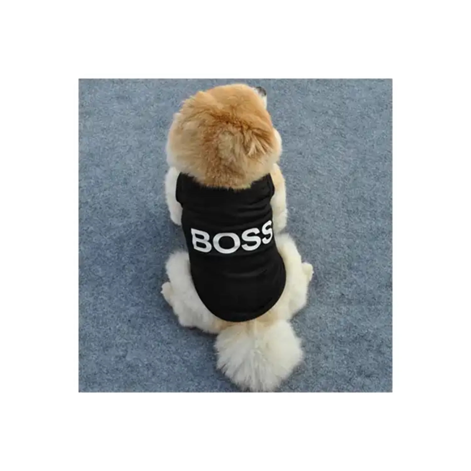 Boss dog tee for small dogs - Walmart.com