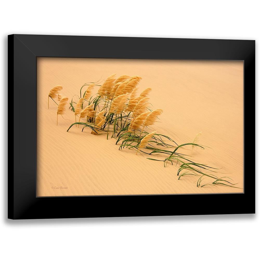 Bostek, Carl 24x17 Black Modern Framed Museum Art Print Titled - Pampas ...