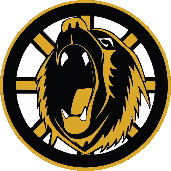 Boston Bruins Sticker Logo Hockey Phone Decal Water Bottle Stickers Car ...