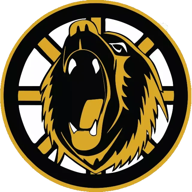 Boston Bruins Sticker Logo Hockey Phone Decal Water Bottle Stickers Car ...