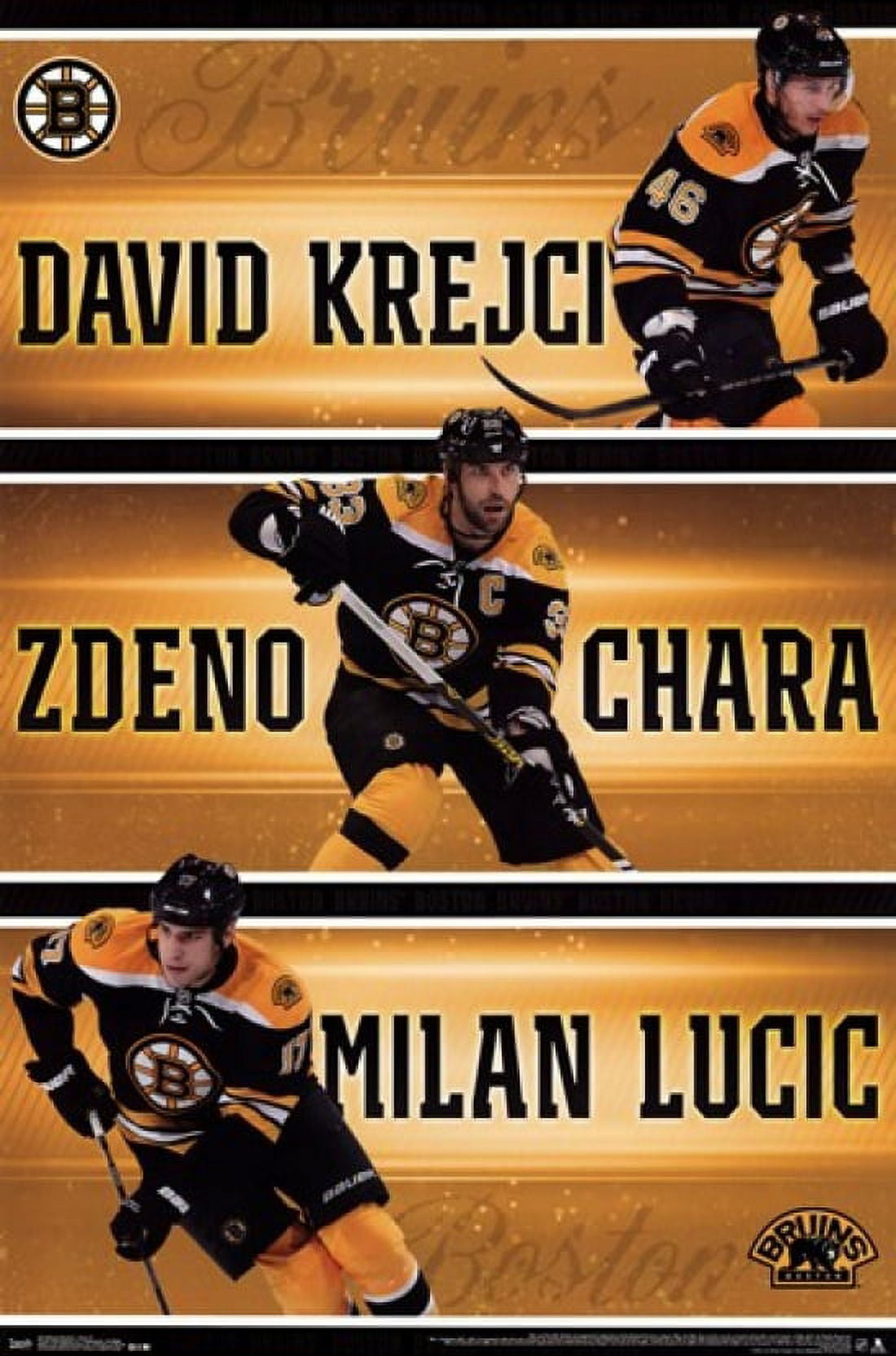 Boston Bruins - Team 2013 Poster Print (24 x 36) - Walmart.com