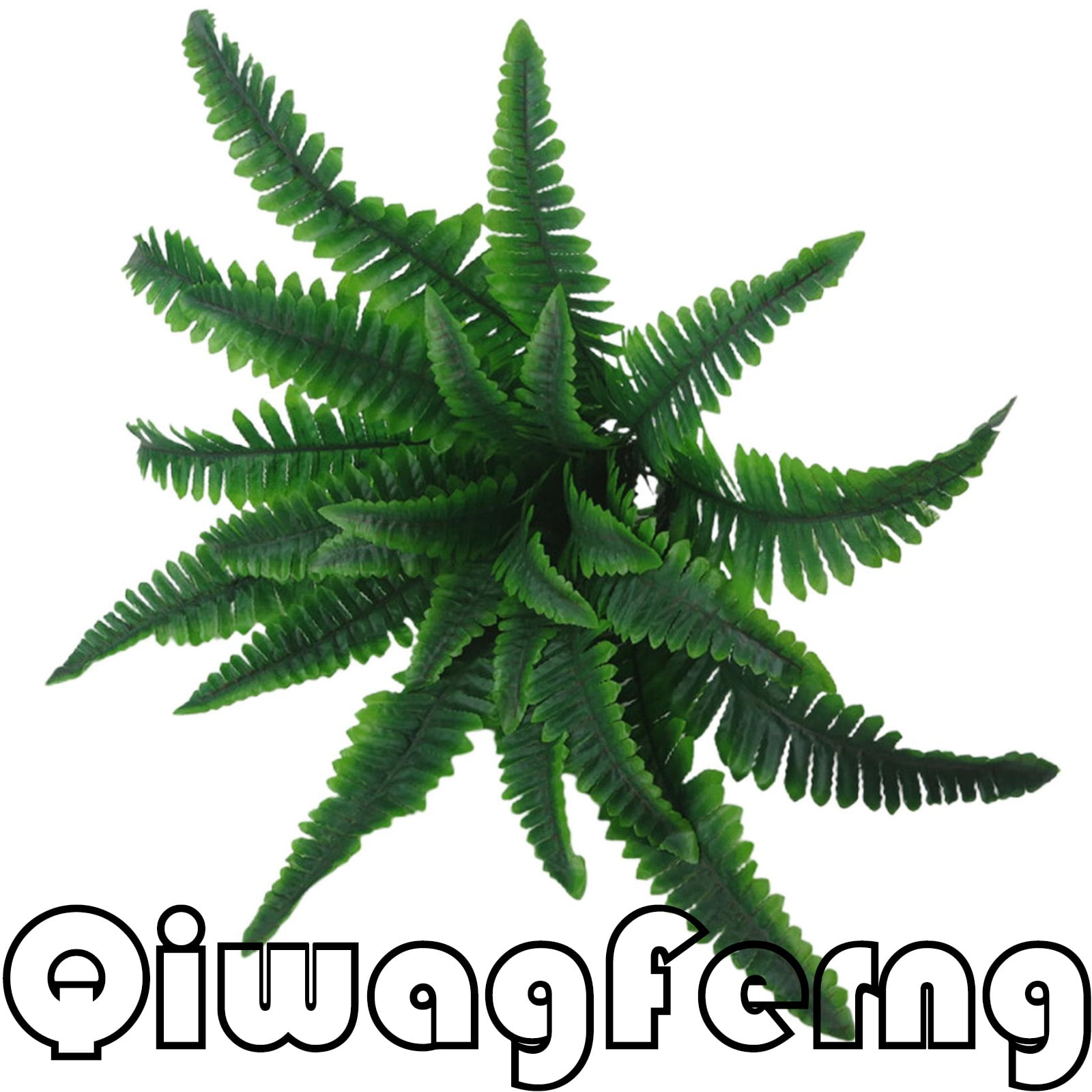 Boston Fern Live Plant,Boston Fern,Simulated Persian Grass Small ...