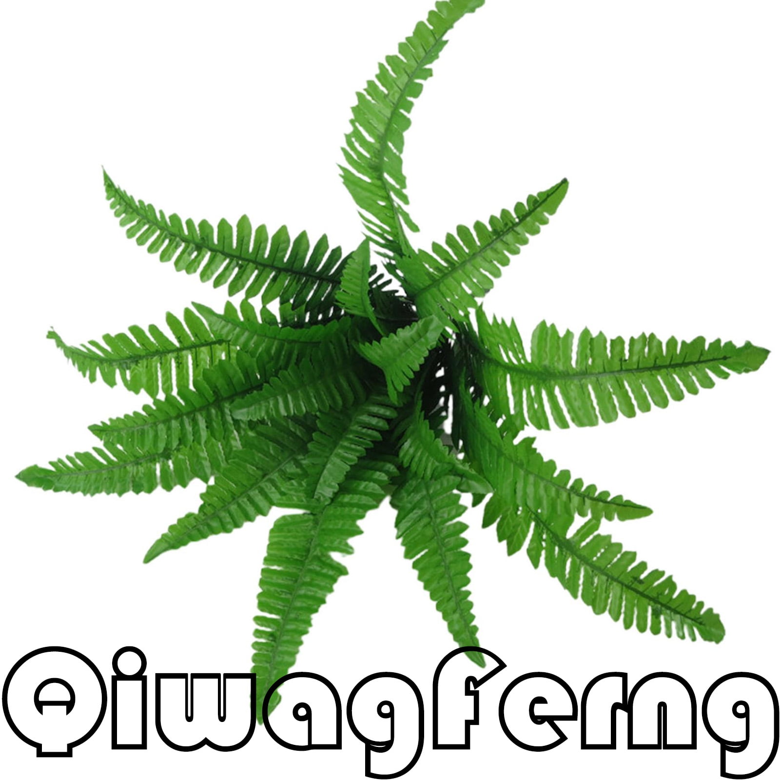 Boston Fern Live Plant,Boston Fern,Simulated Persian Grass Small ...