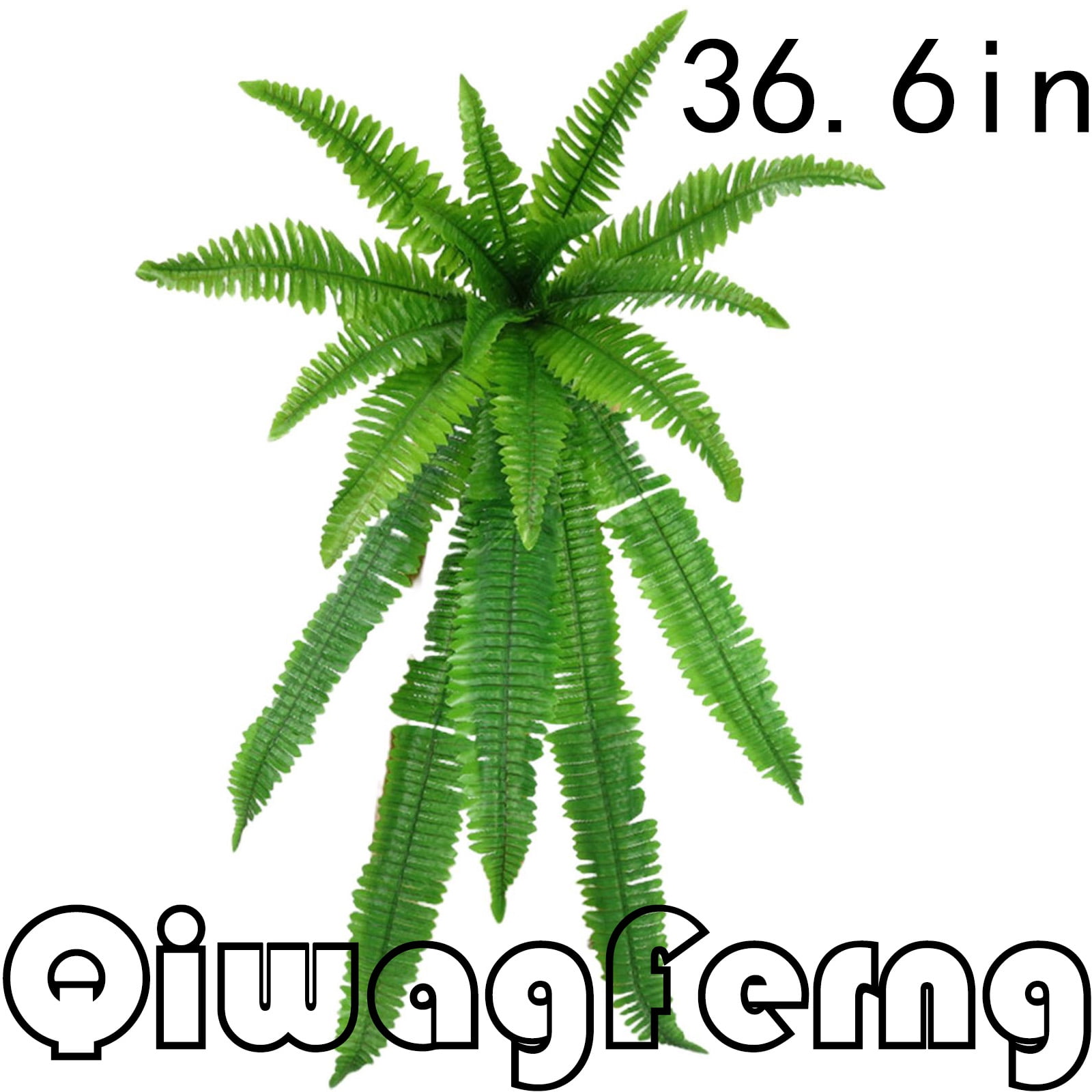 Boston Fern Live Plant,Boston Fern,Simulated Persian Grass Small ...