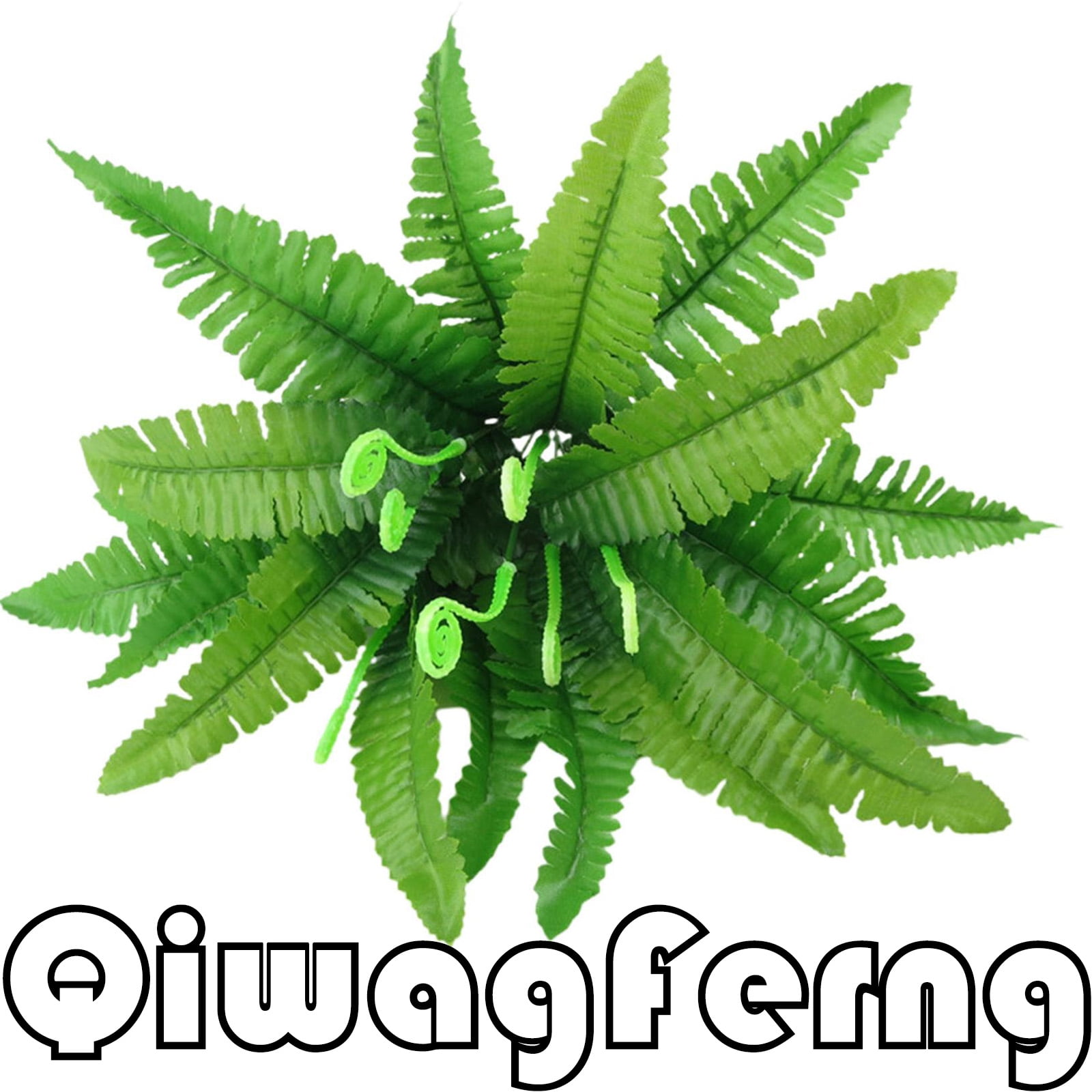 Boston Fern Live Plant,Boston Fern,Simulated Persian Grass Small ...