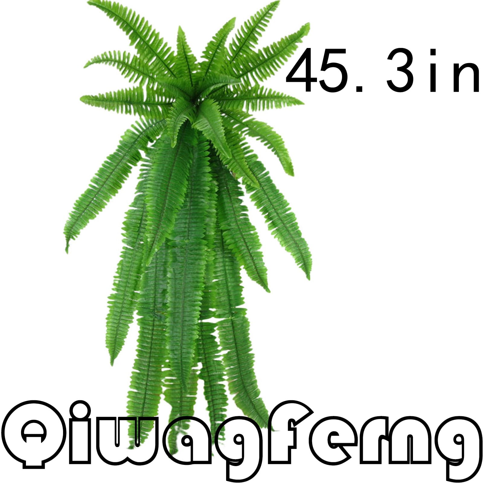 Boston Fern Live Plant,Boston Fern,Simulated Persian Grass Small ...