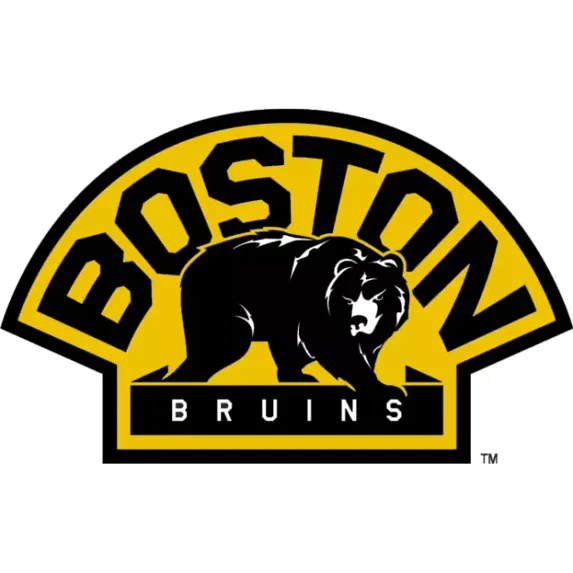 Boston Hockey Team Alternate Logo Sticker Baseball Sticker, Football ...