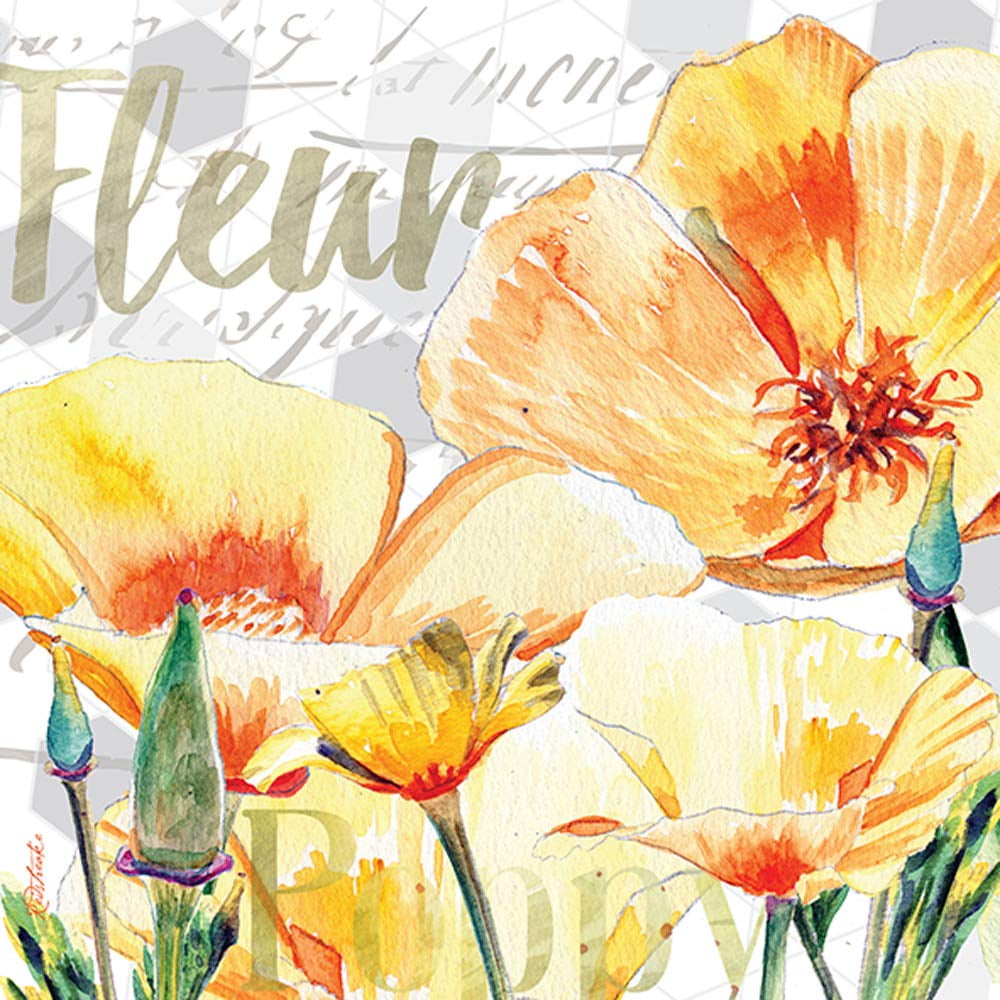 Boston International IHR Lunch Paper Napkins, 6.5 x 6.5-Inches, Poppy ...