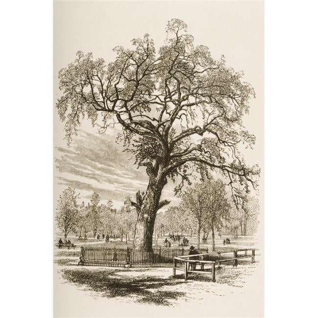 Boston Massachusetts The Liberty Tree In 1870S. From American Pictures ...