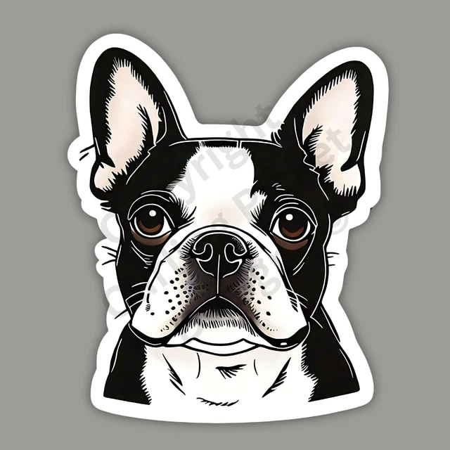 Boston Terrier Dog Breed Cute Adorable Sticker Phone Decal Water Bottle ...