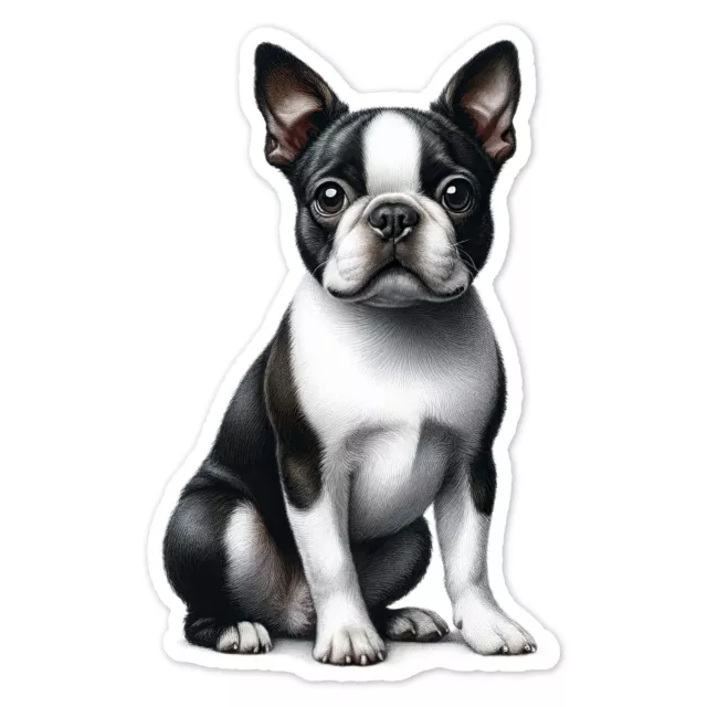 Boston Terrier Dog, Sticker, Water Resistant, Water Bottle, Laptopphone ...