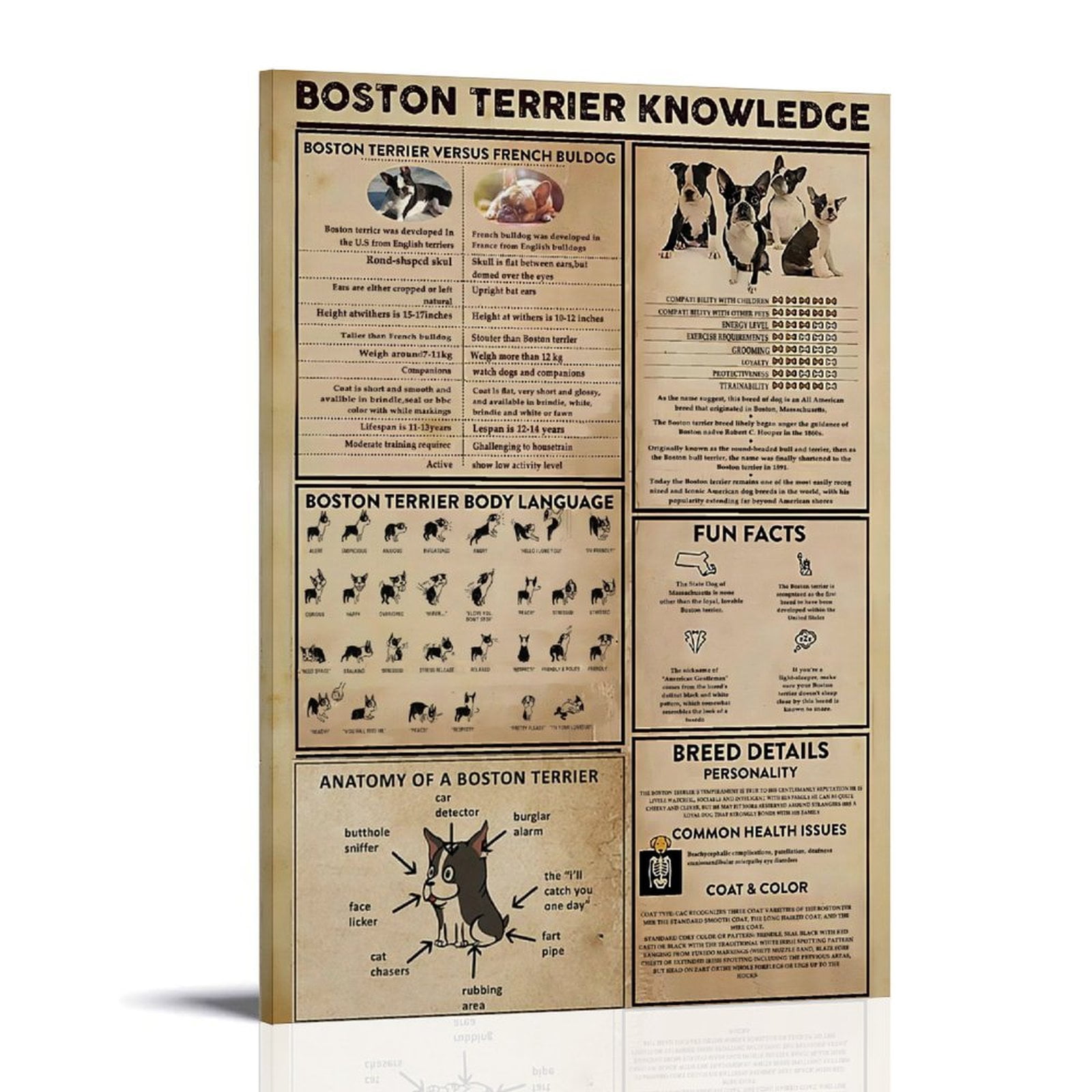 Boston Terrier Infographic Aluminum Posters Painting Vintage Poster ...